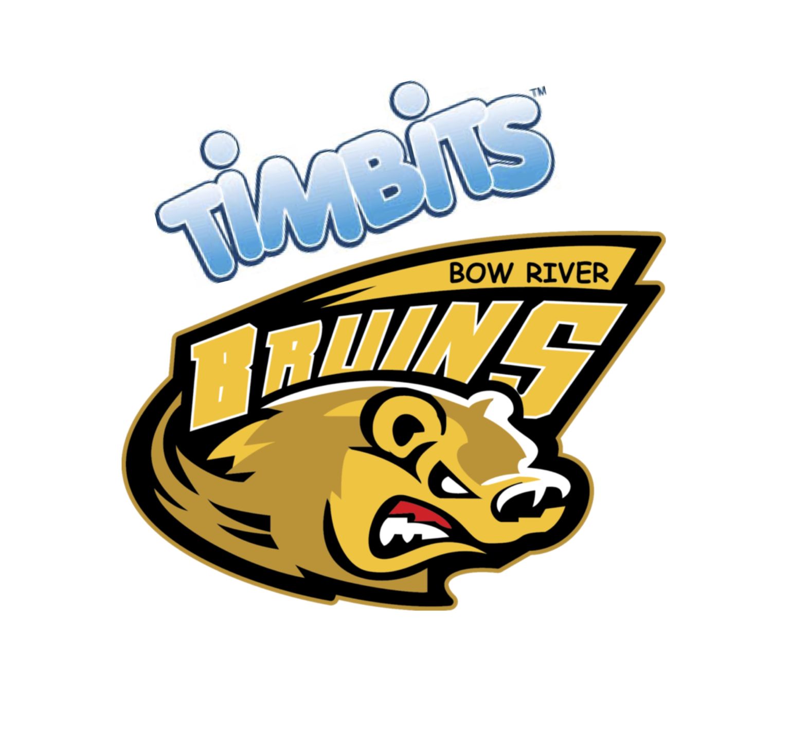 Timbits Hockey – Bow River Bruins