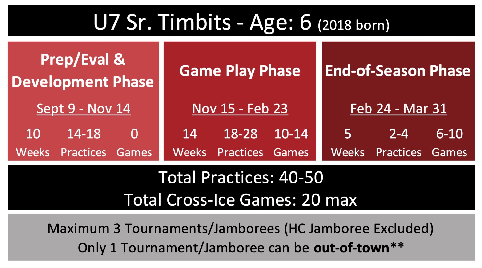 Timbits Hockey – Bow River Bruins