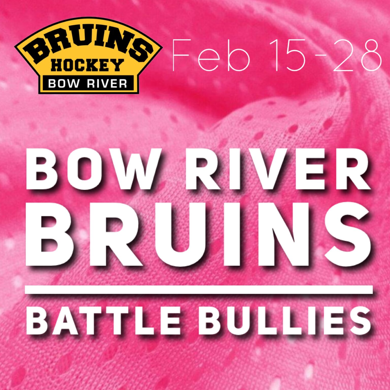 Bow River Bruins – Community Hockey in NW Calgary